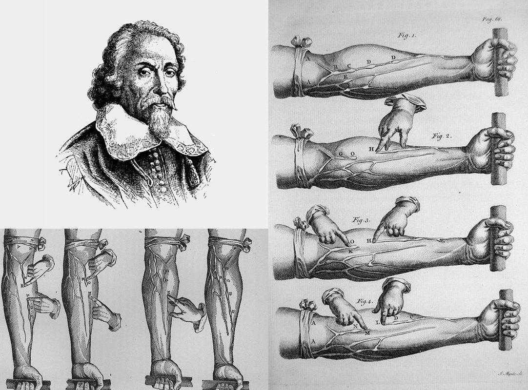 The Renaissance and Medicine - Hijama Clinic